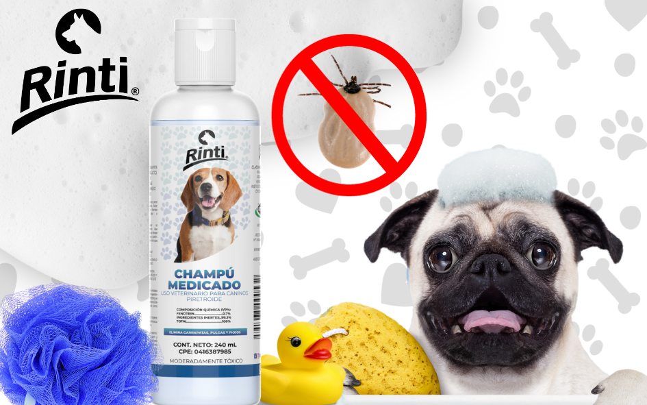 Champú Medicado: ¿Qué lo hace tan bueno? | Intercos C.A